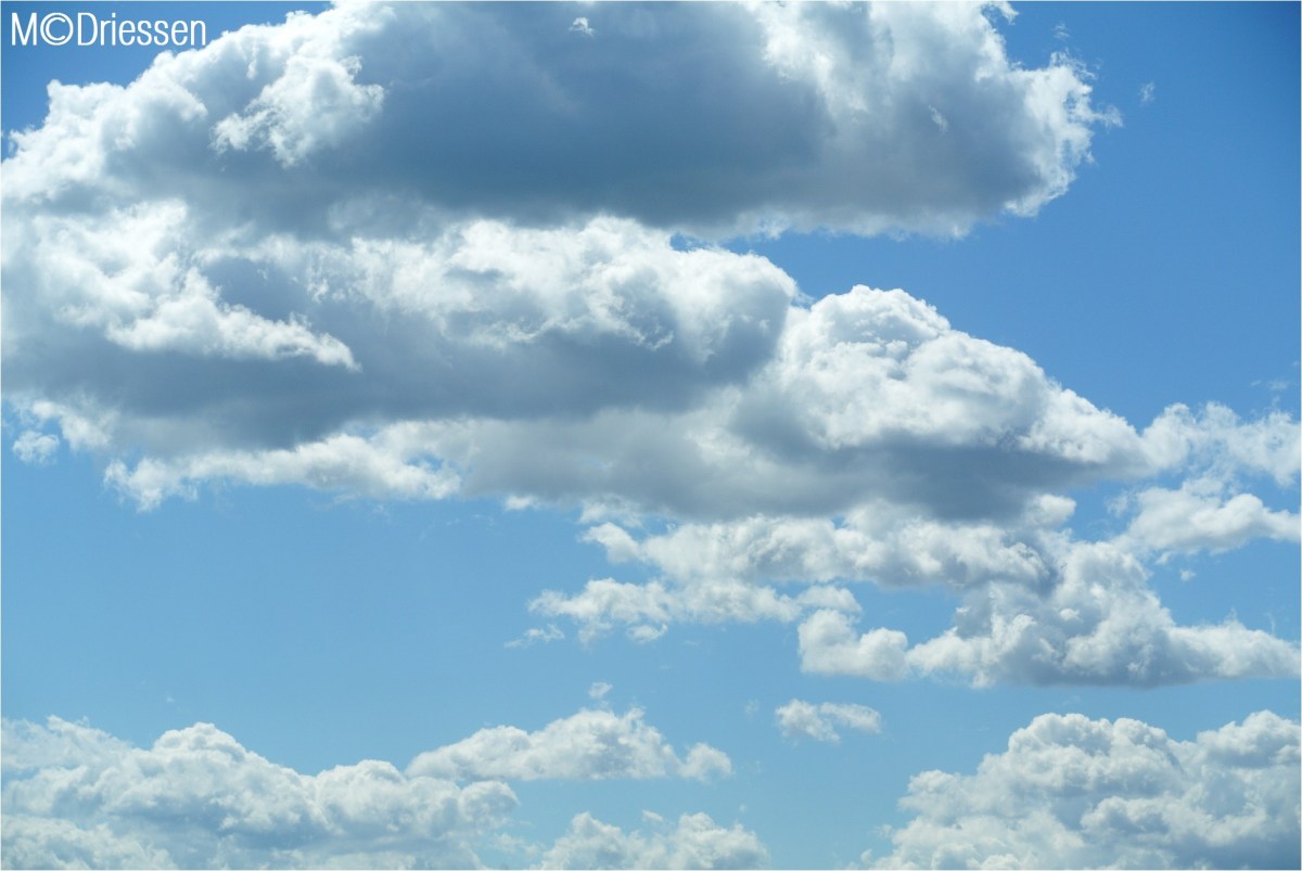 Verhaal in zes woorden met beeld: Het Weer – DOLDRIEST